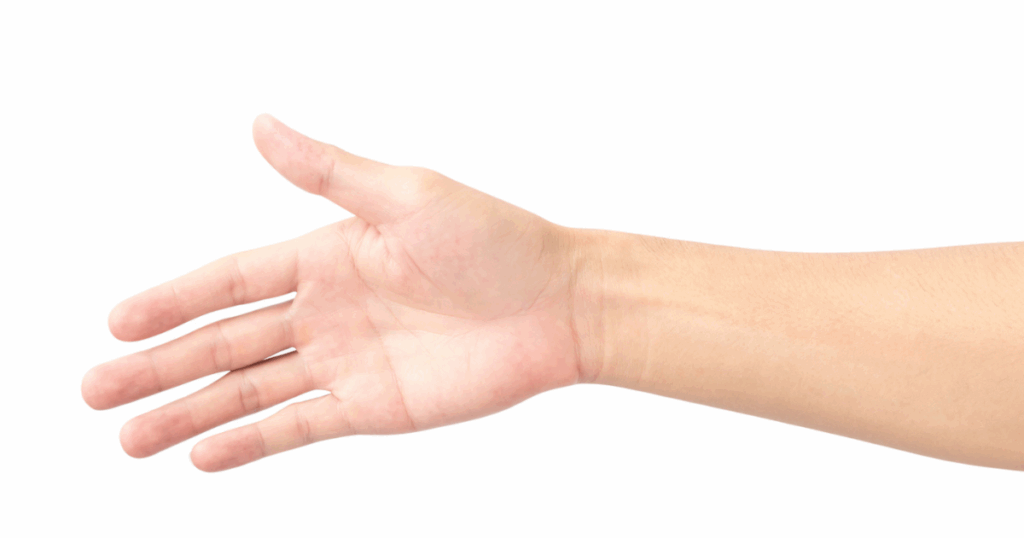 🖐️ Anatomia dei Muscoli della Mano: Guida Completa – consiglibrillanti.com